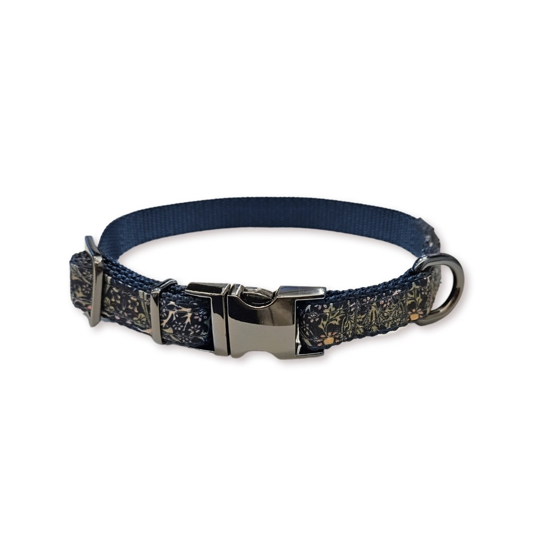 Medium dog collar store